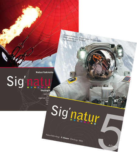 Gennemsynspakke | Alinea